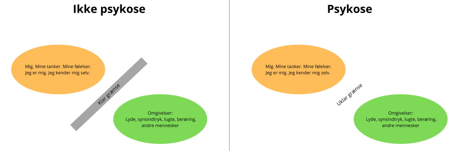 Skizofreni og psykoselidelser | Forstå diagnoserne